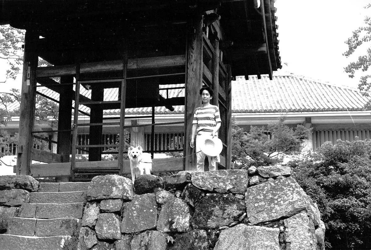 「With The Dogs」国宝｜Rabi Sato