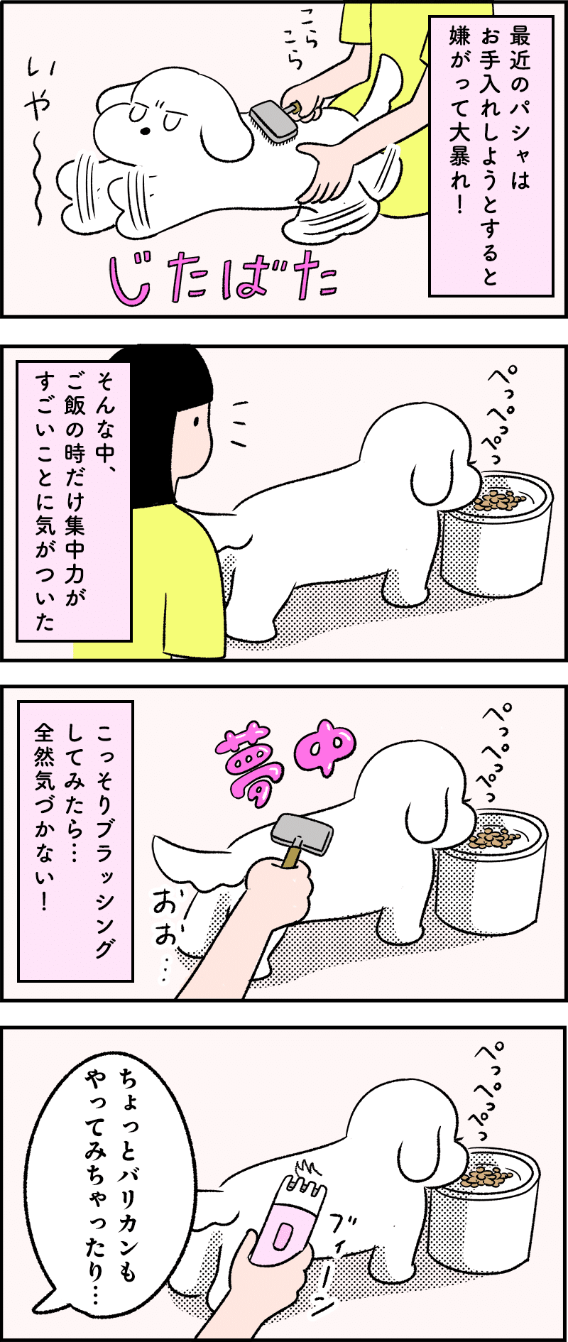 「いぬとのこと」#42 集中力のこと [コミックエッセイ] ｜YAYO/NU