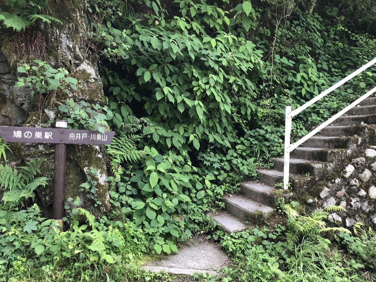 低山トレッキングに行ってきた：川苔山編｜公認会計士 山下章太