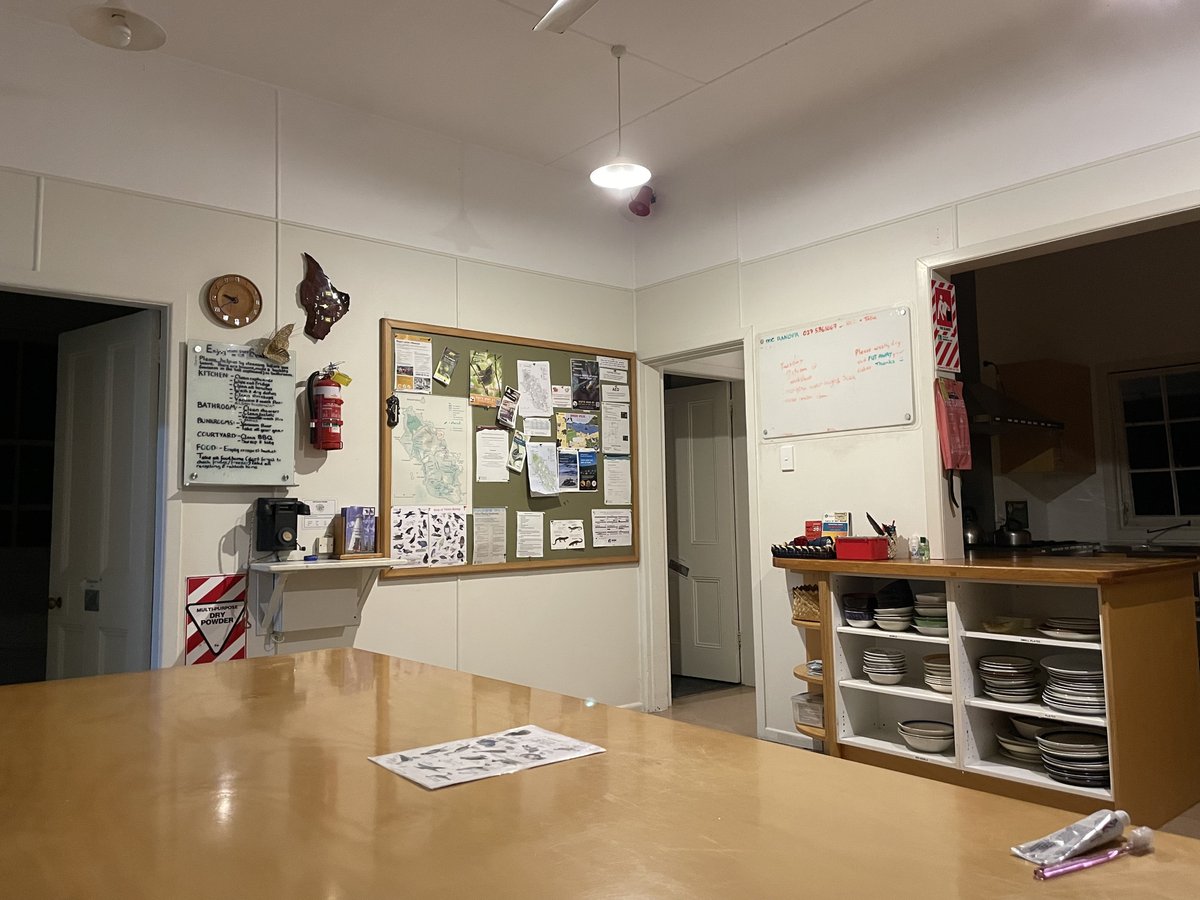 Tiritiri Matangi IslandでDOCのボランティア活動を経て｜Raicho Inc.