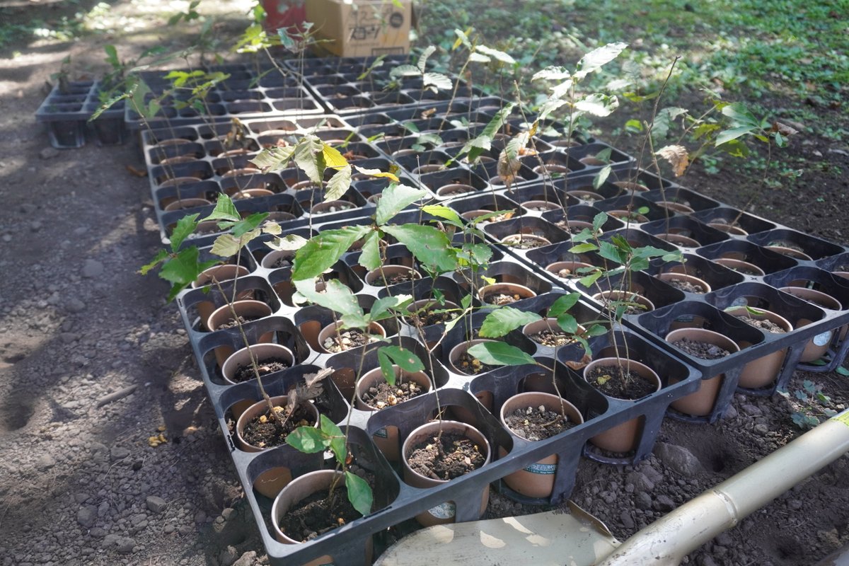 3周年を迎えました！SAISON CARD Digital for becoz｜クレディセゾン公式note_セゾンの未来会議