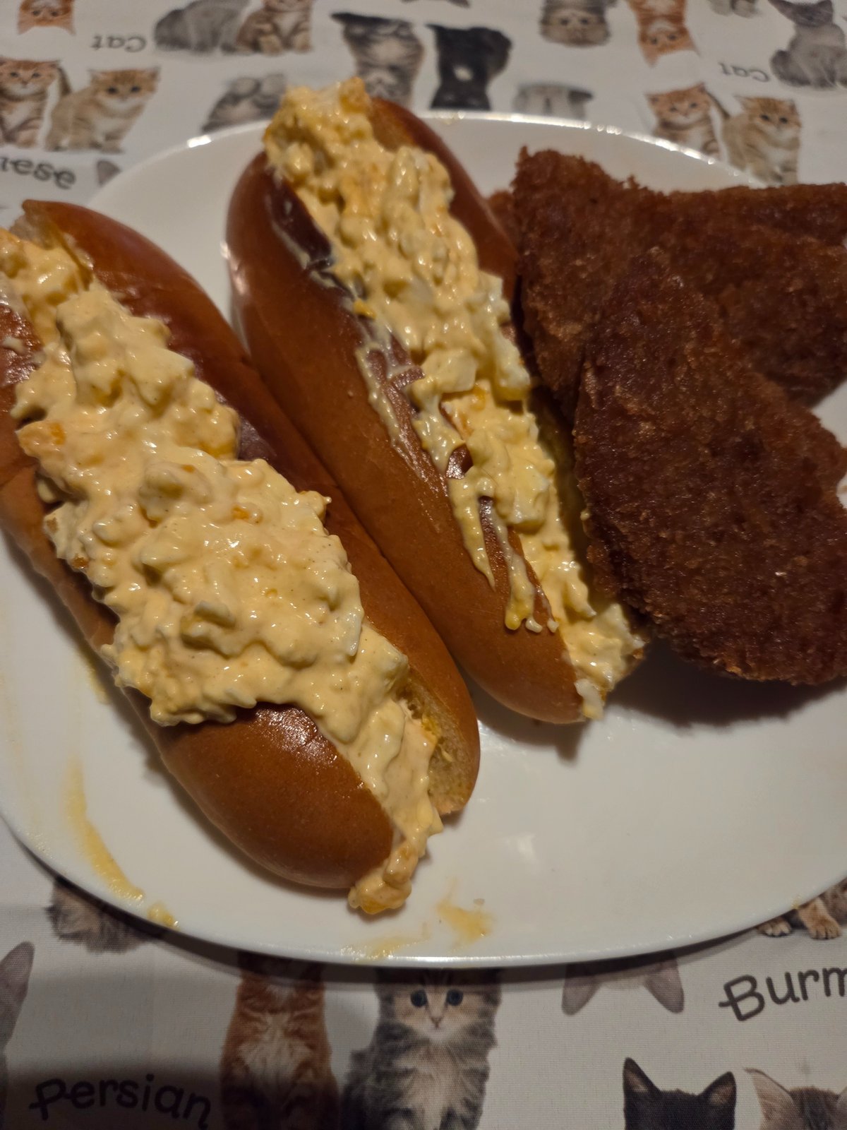 本日の晩御飯[6/24]｜kei1diablo