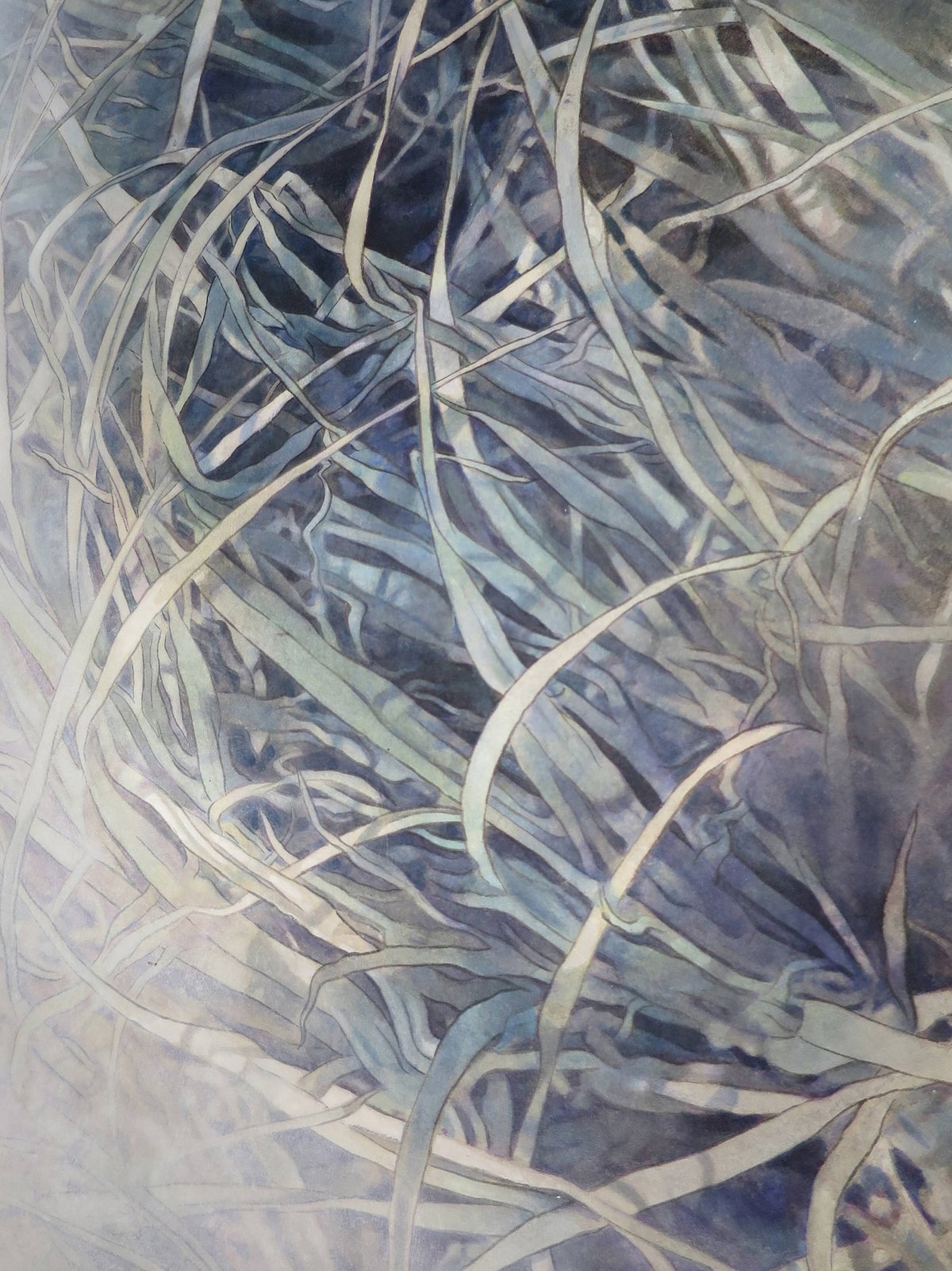 もうすぐ母がいなくなる みんなと同じ森になる/文を書く画家｜杉木奈美 /sugiki nami 文を書く画家