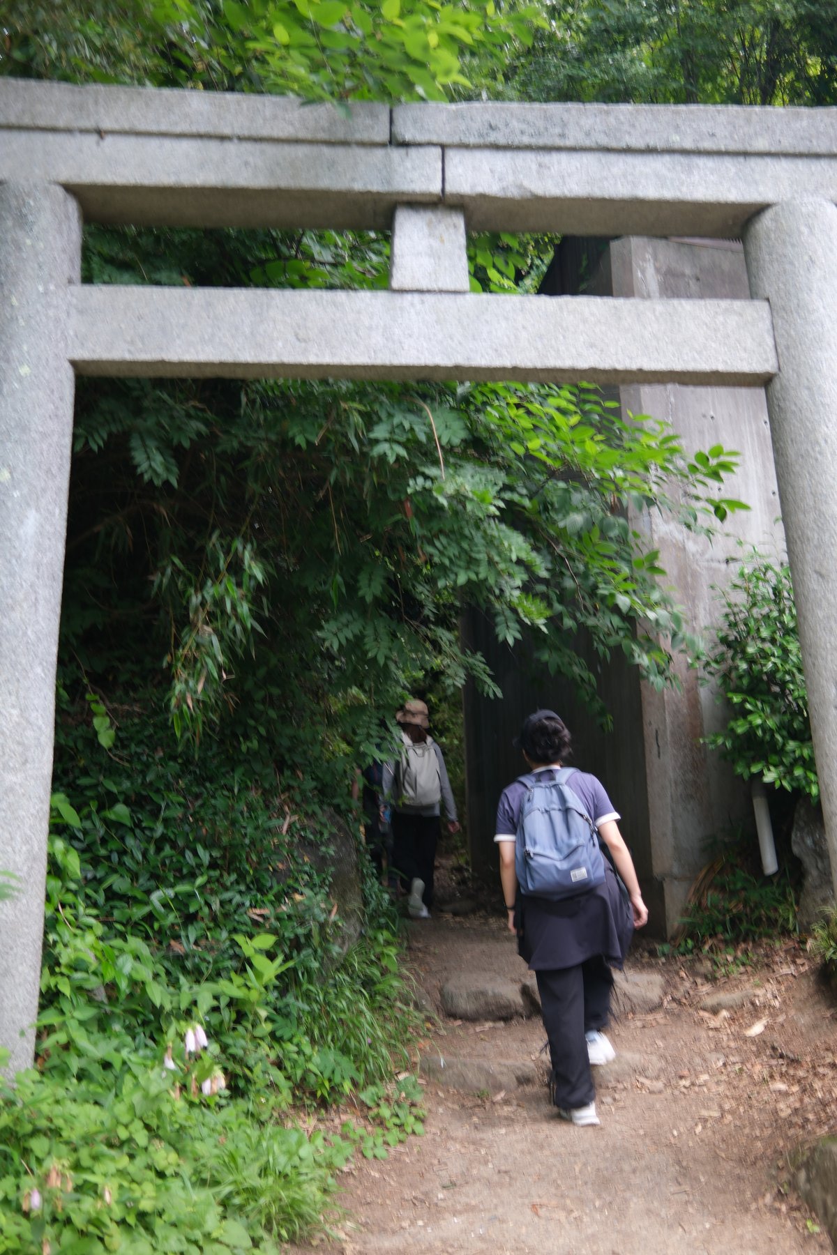 X100VI を使ってみて 登山での使用｜nono