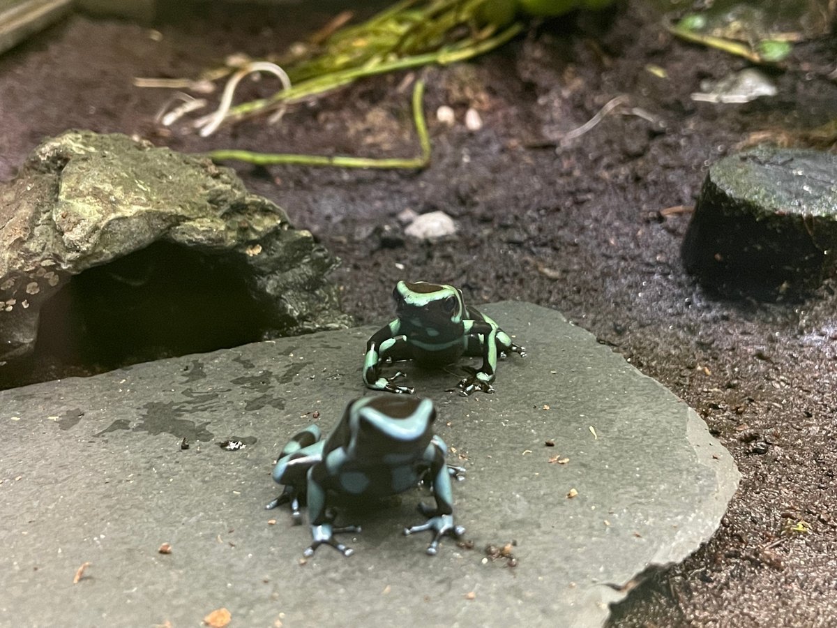 都内の水族館選びに！東京の『5大水族館』の魅力をそれぞれエリア別に徹底解説｜新代 優（にいしろ ゆう）