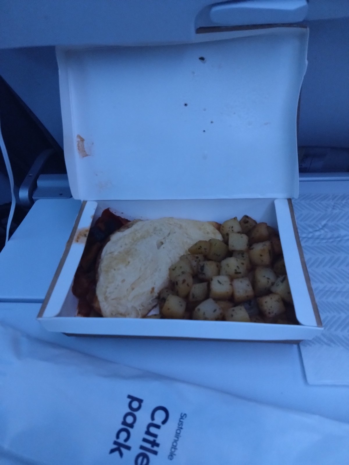 7日目帰りの飛行機編【初海外、パリへ行く】｜t09_hrk