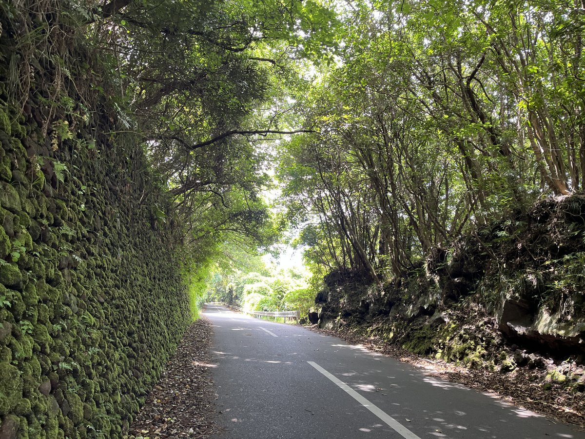 伊豆大島一周歩き旅 1日目【ひとり島旅】｜aya@徒歩愛好家