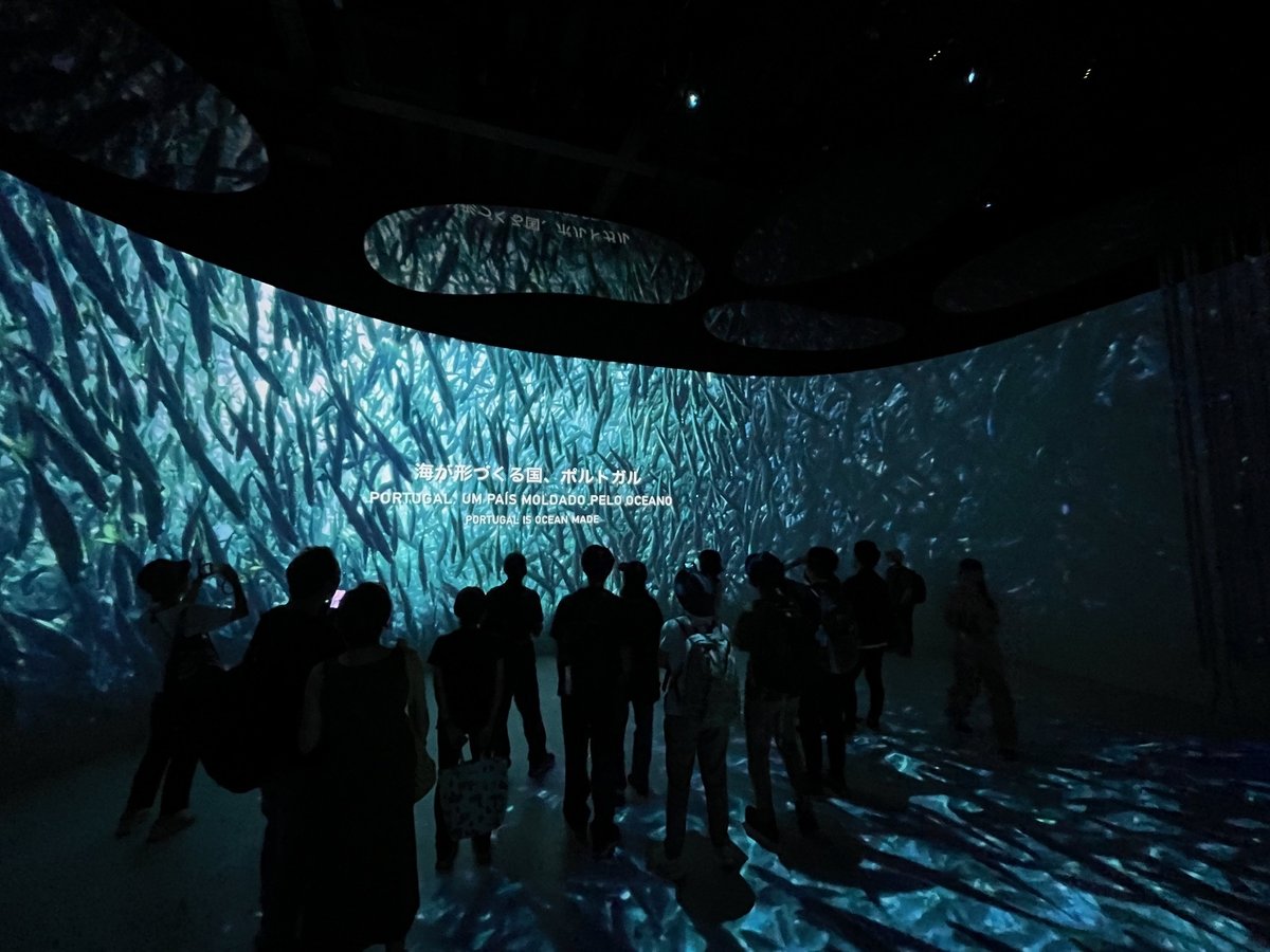 徒然なるリボーン週記（11）明日が楽しくなる町「スマートヘルスケアタウン」プロジェクト｜No/BORdER（MOBIOリボーンチャレンジ）