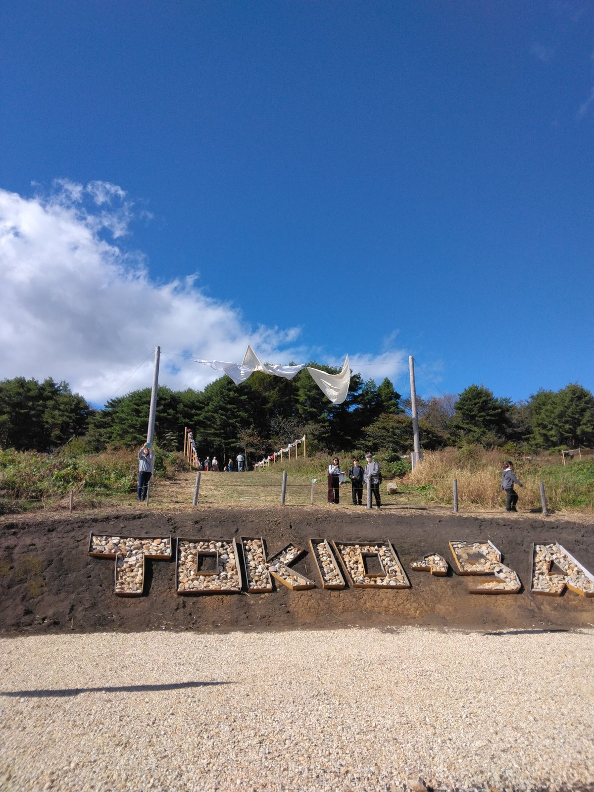 TOKIO-BAのこと｜すがゆき