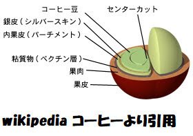 エカワ珈琲店版、コーヒー果実の栽培と収穫に関する20世紀の知識｜エカワ珈琲店ブックス
