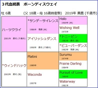 【2025 函館記念（G3）】～予想篇｜Haya