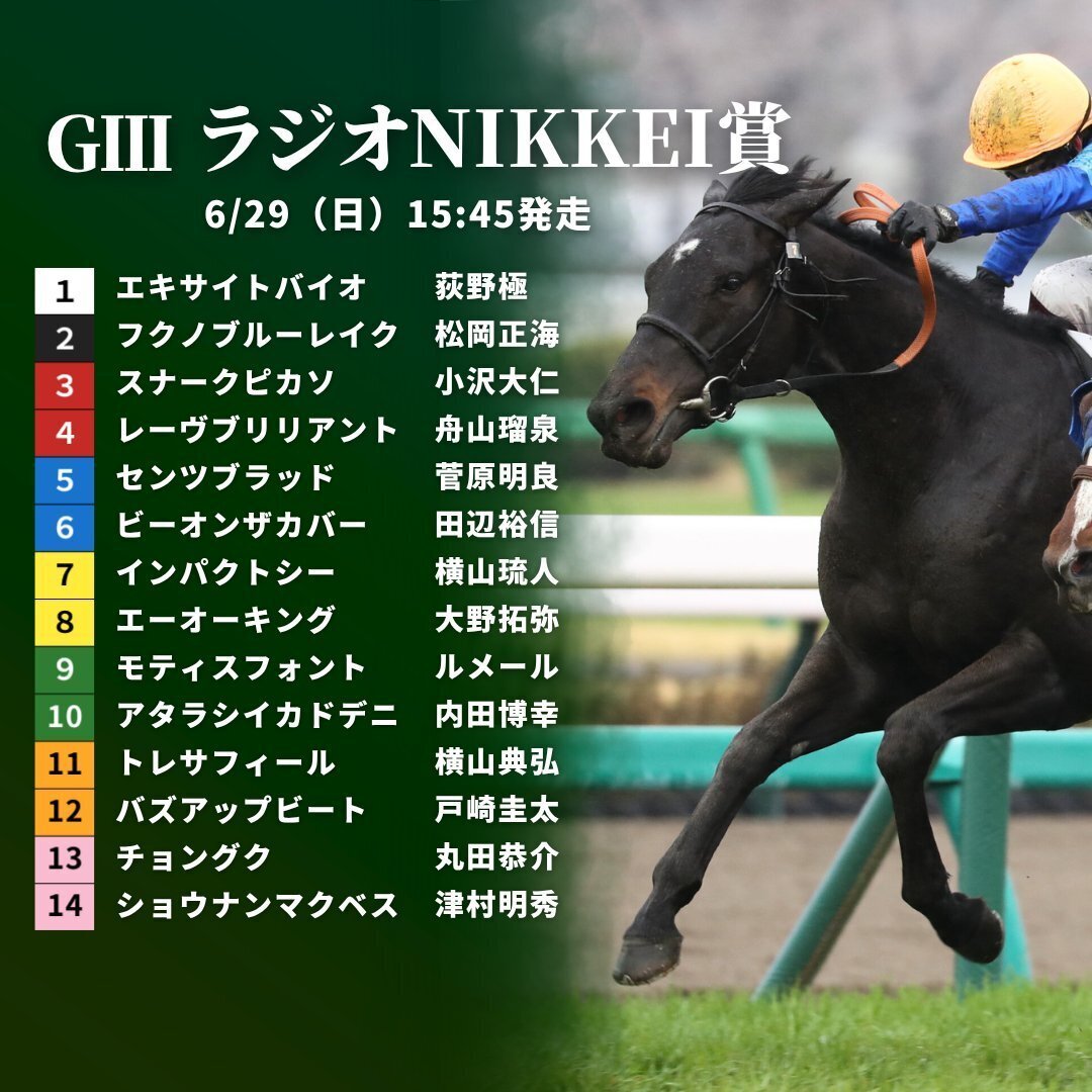 勝手に予想対決🏇 ラジオNIKKEI賞G3 AI完全予想＋某予想屋4名 予想無料公開｜asuka_keiba