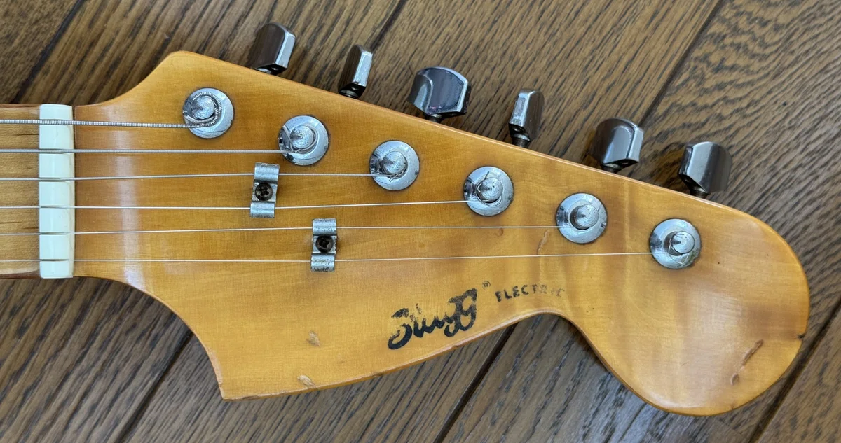 Stagg® ELECTRIC and the Mysterious Pickup｜まんぼう