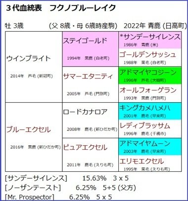 【2025 ラジオNIKKEI賞（G3）】～予想篇｜Haya
