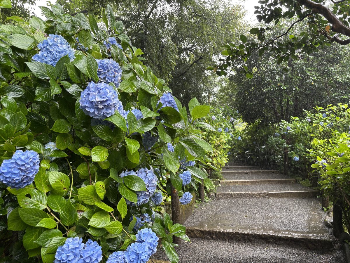 ド佐日記#6｜Iruka