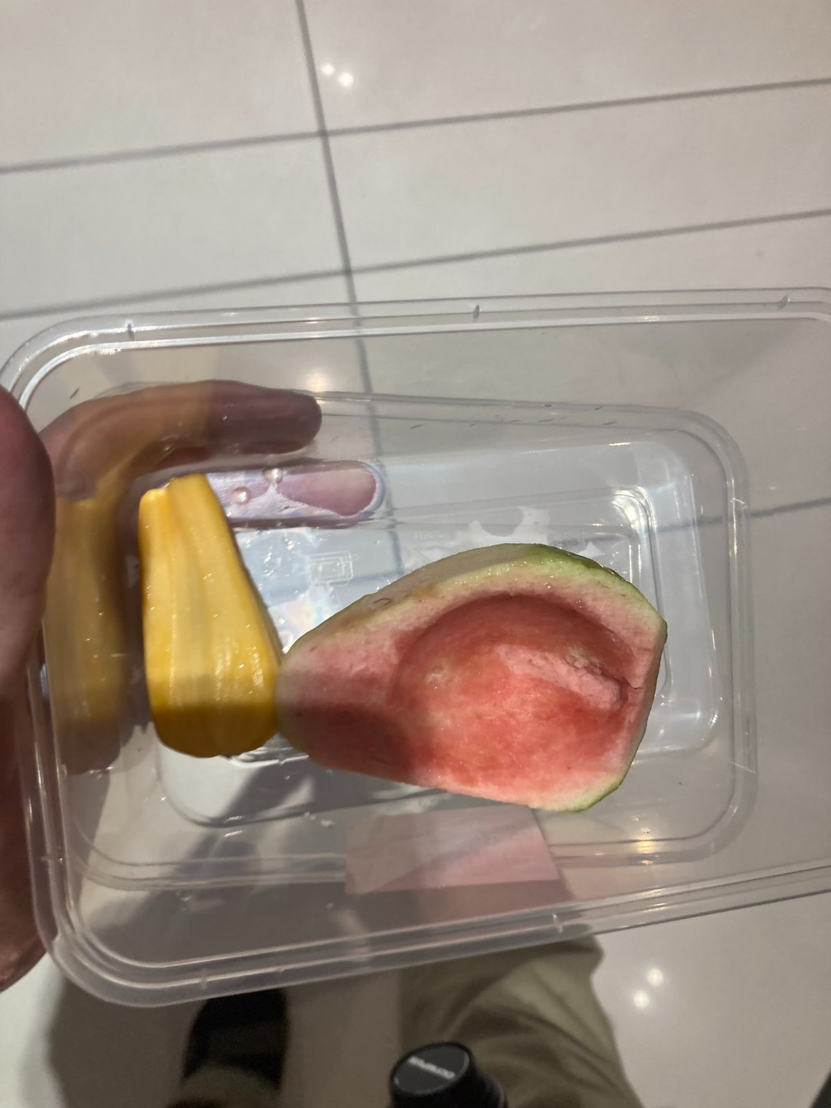 【世界旅行2日目】ナシクランとココナッツ｜yuto travel