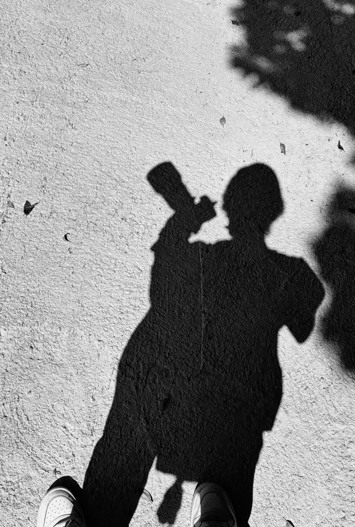 ありがとう、α7C。5年間の旅を一緒に歩んでくれた相棒へ📸｜ichi_graphy