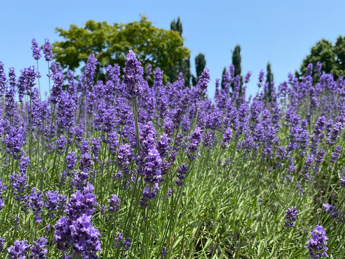今日の夏空…｜まさ / Atelier Masa