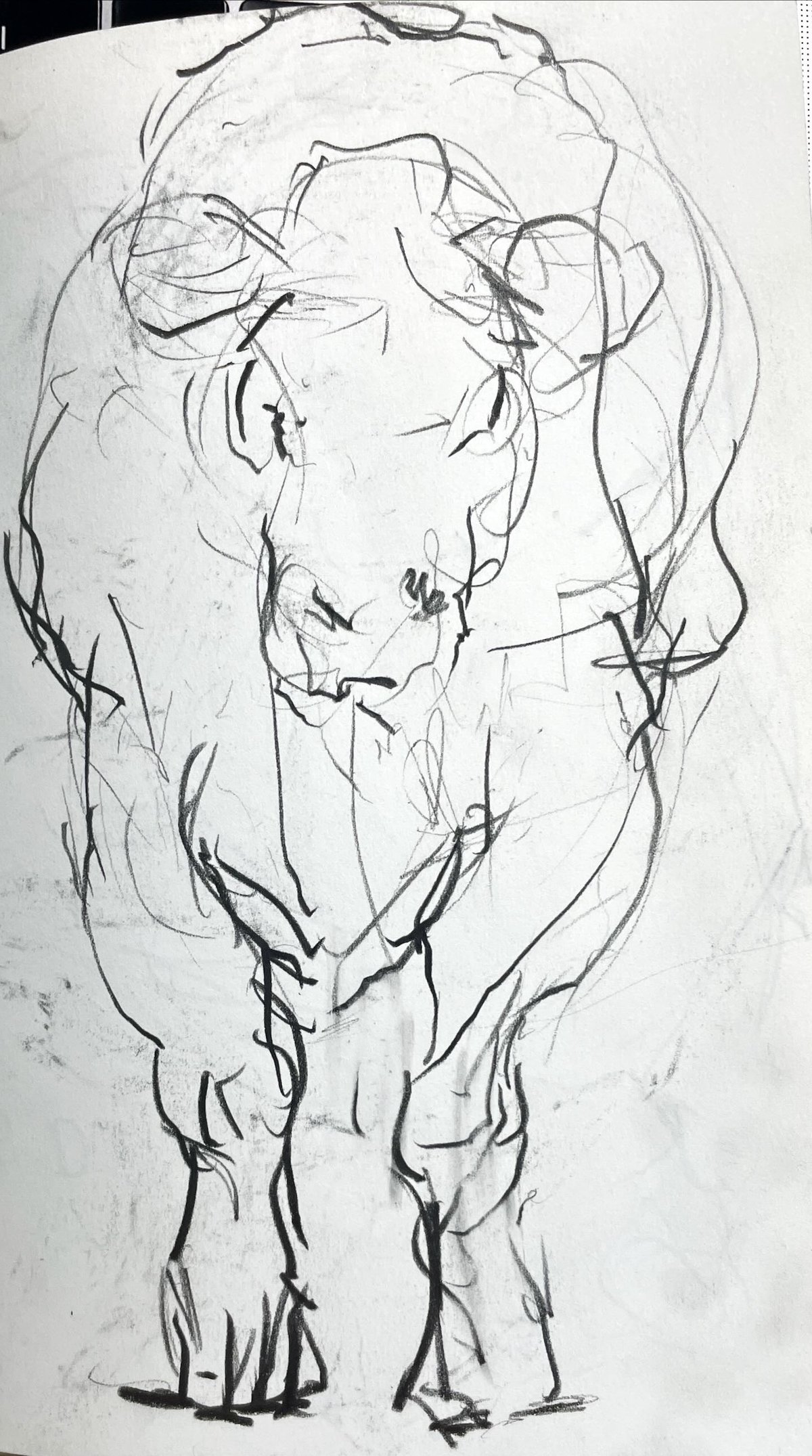 マイヨーロピアンダイアリー2009＃12｜Keiji 吉澤敬二