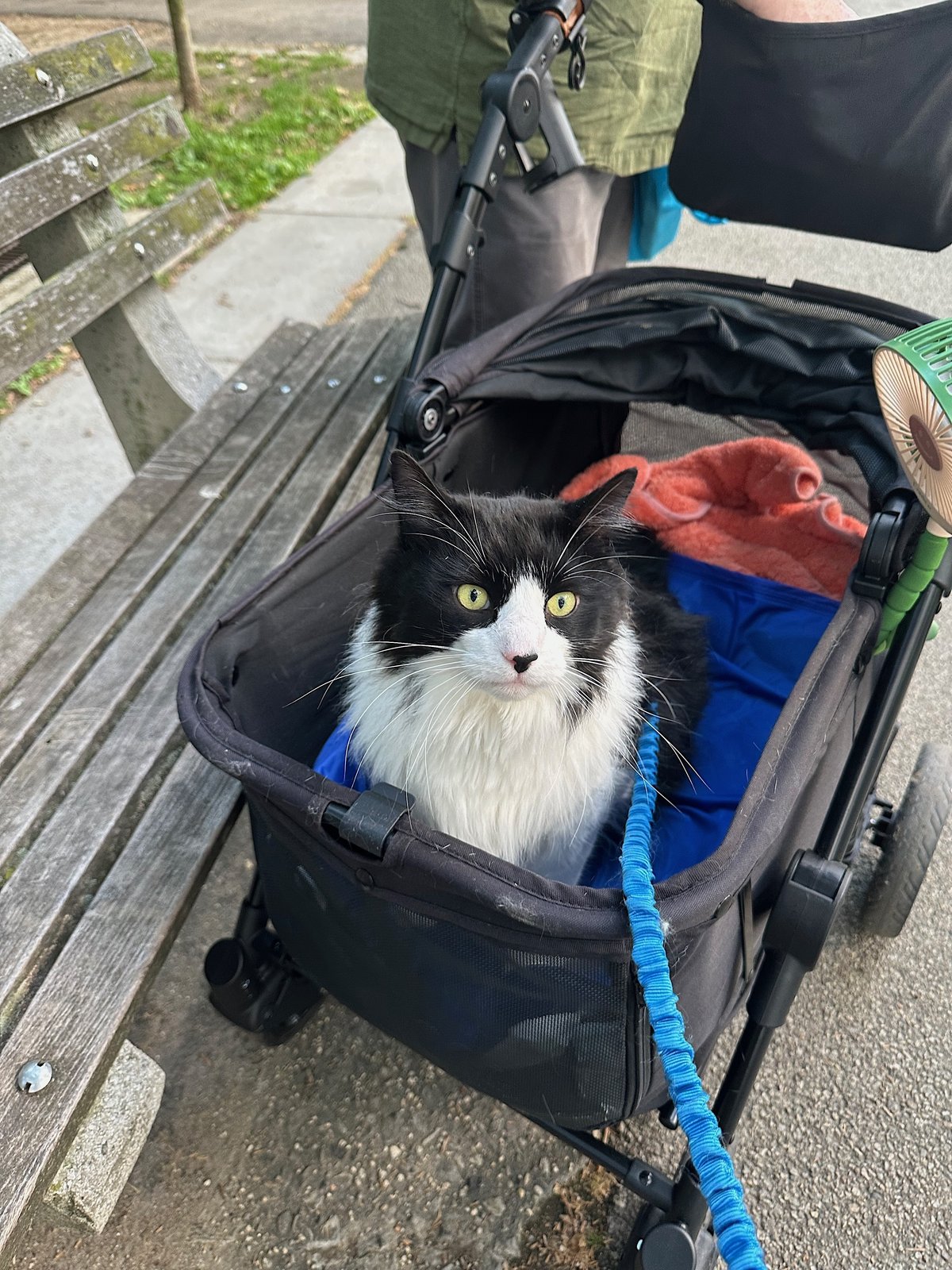 久しぶりのエルモの散歩日記6月28日UPPER WEST SIDE, NYC、Cafe Lomondo, Riverside Park ...