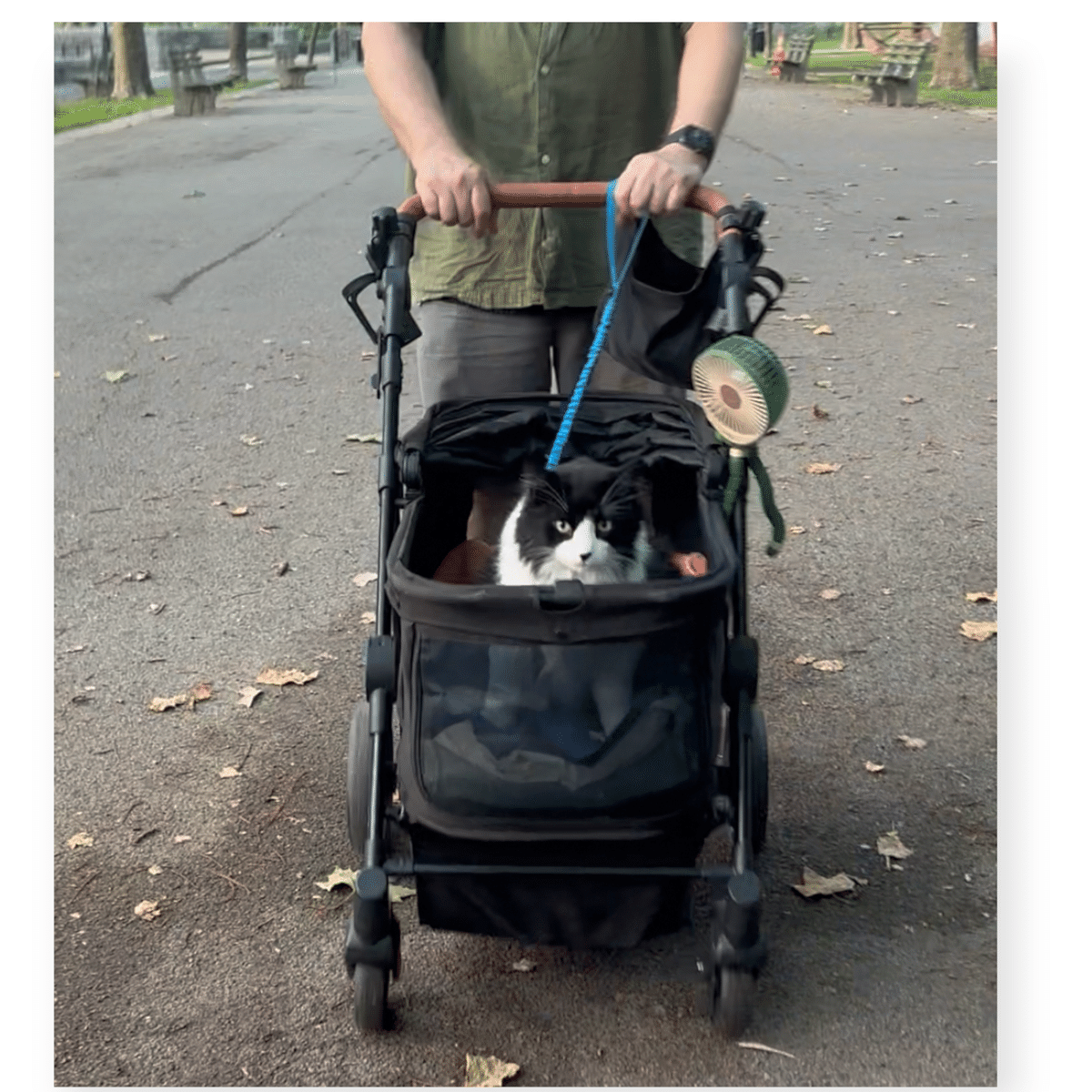 久しぶりのエルモの散歩日記6月28日UPPER WEST SIDE, NYC、Cafe Lomondo, Riverside Park ...