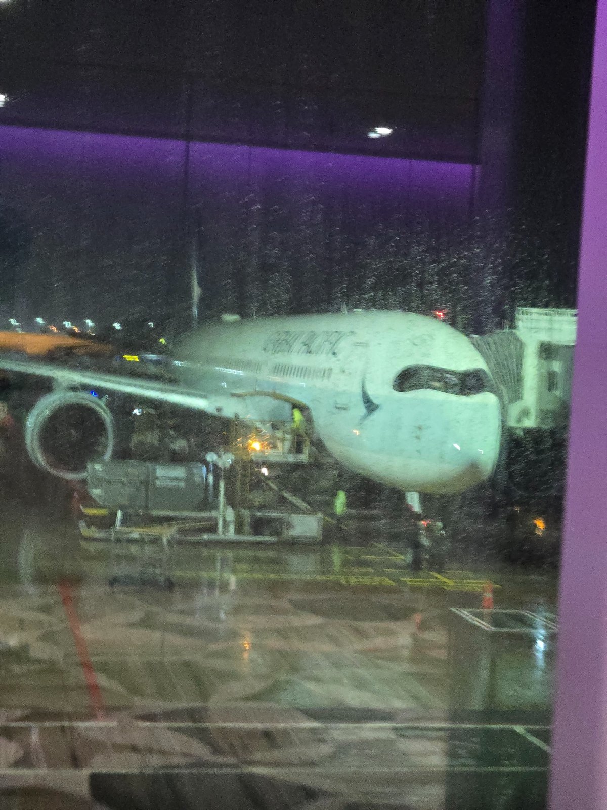 ️ 搭乗レビュー：キャセイパシフィック航空 CX714（シンガポール→香港）｜Angryの旅行記