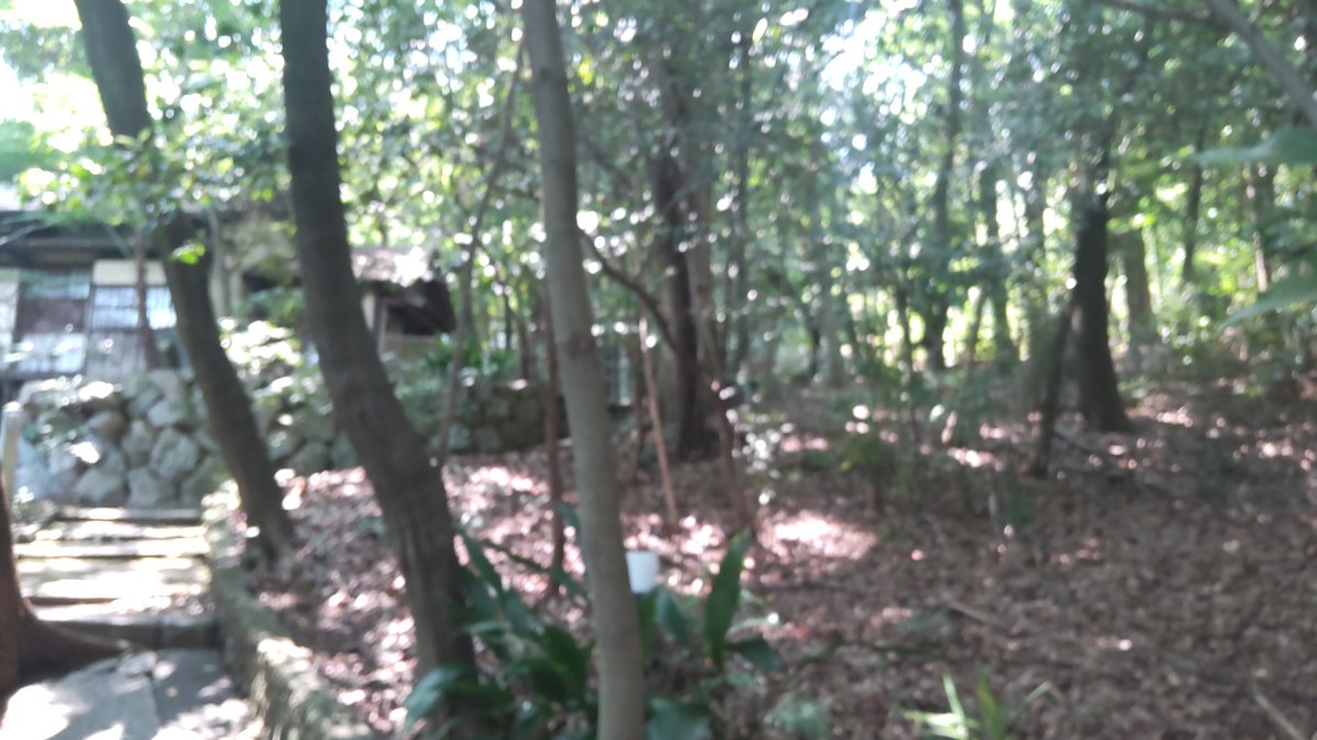 京都カフェ🍧吉田山の茂庵へ｜みーまま