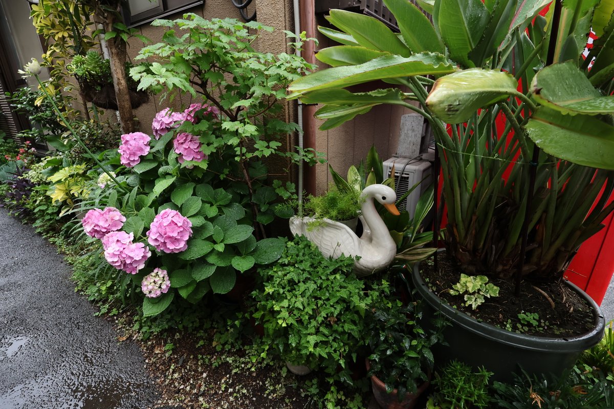 Canon RF-S10-18mm F4.5-6.3 IS STMで撮ってみた｜matsunaga_kaz