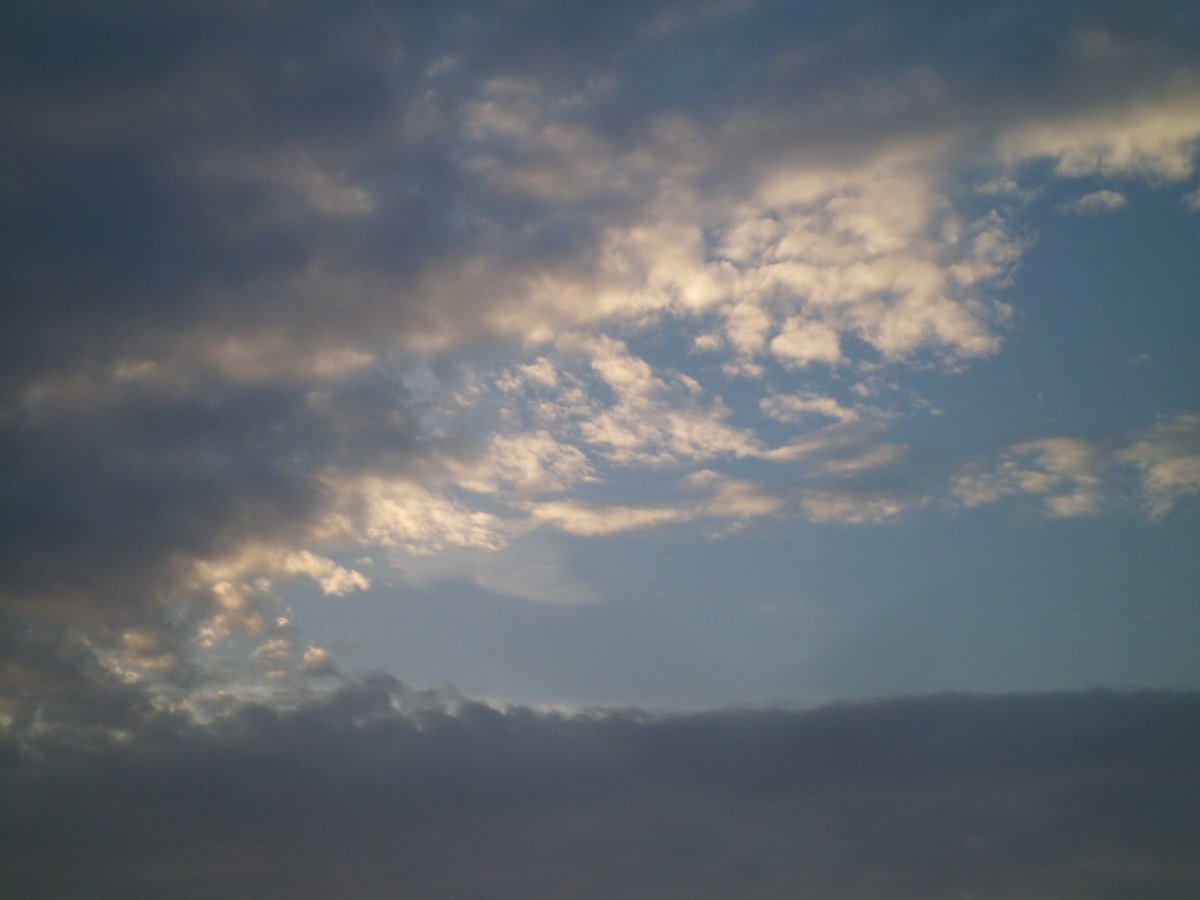 鳥Aves note II-LVI｜薄井 灌 Kan Usui