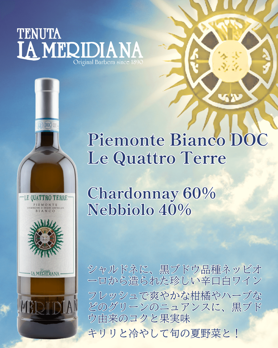 夏はこれからが本番！｜AlcotradeTrust