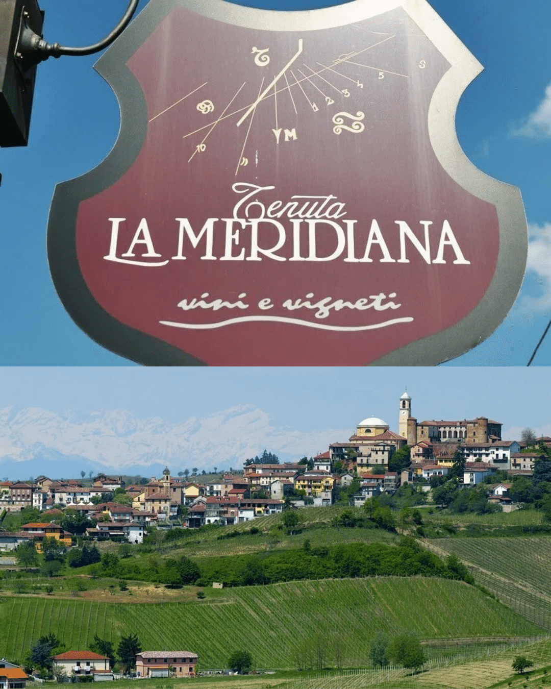 夏はこれからが本番！｜AlcotradeTrust