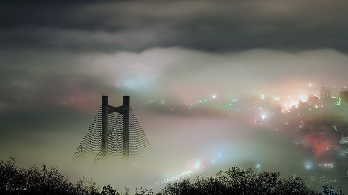 夜空の記憶、風景の声──シャッターの向こう側を、少しずつ。｜Negi Asatsuki
