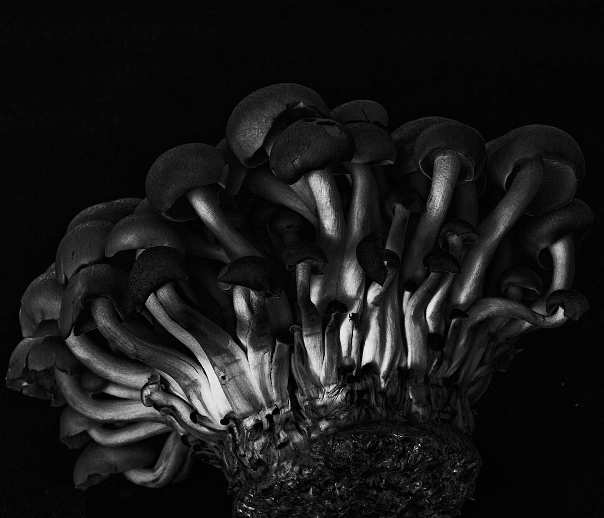 撮りたいものがないと撮れない｜Kenta Komai