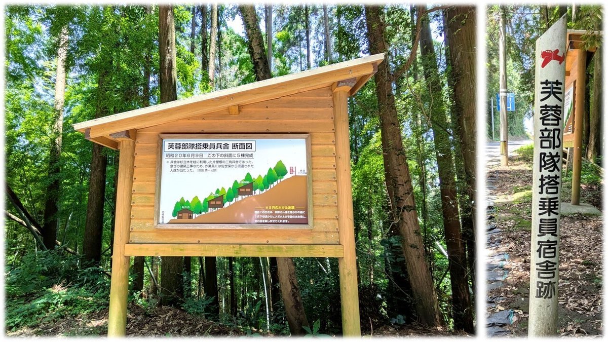 「芙蓉部隊」と本物のプロフェッショナリズム｜ISSA