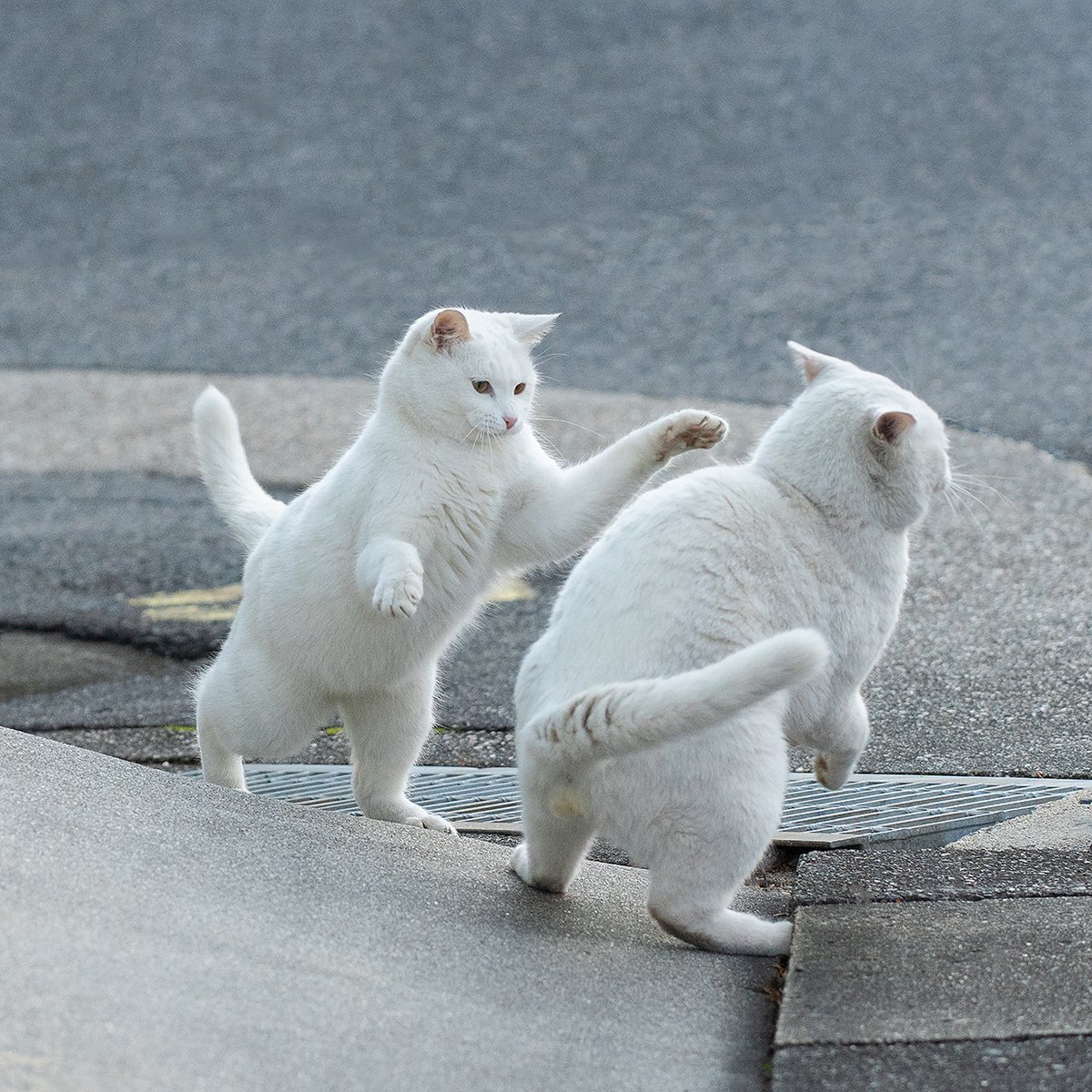 Note始めました / 「Dick Sugi の写真の世界」/自己紹介 /今後の展開など｜Dick Sugi