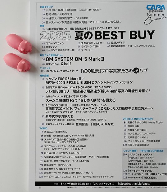 ディック スギの写真談義（1） / 写真雑誌CAPAが季刊化に～新たなステップアップの始まりか、それとも衰退の始まりか｜Dick Sugi