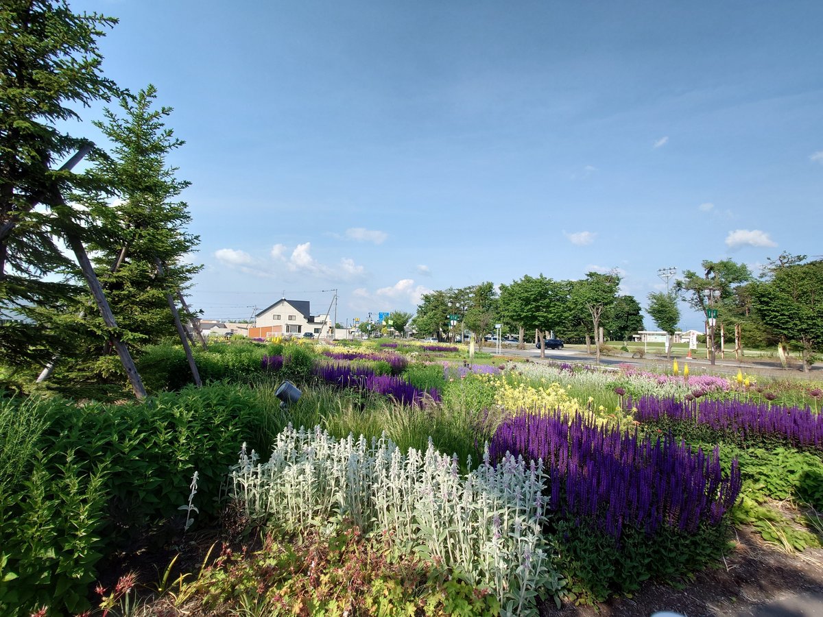 なぜ Tech"RAMEN" なのか 2025 年版 解説 #techramen25conf｜Shota Nishihara