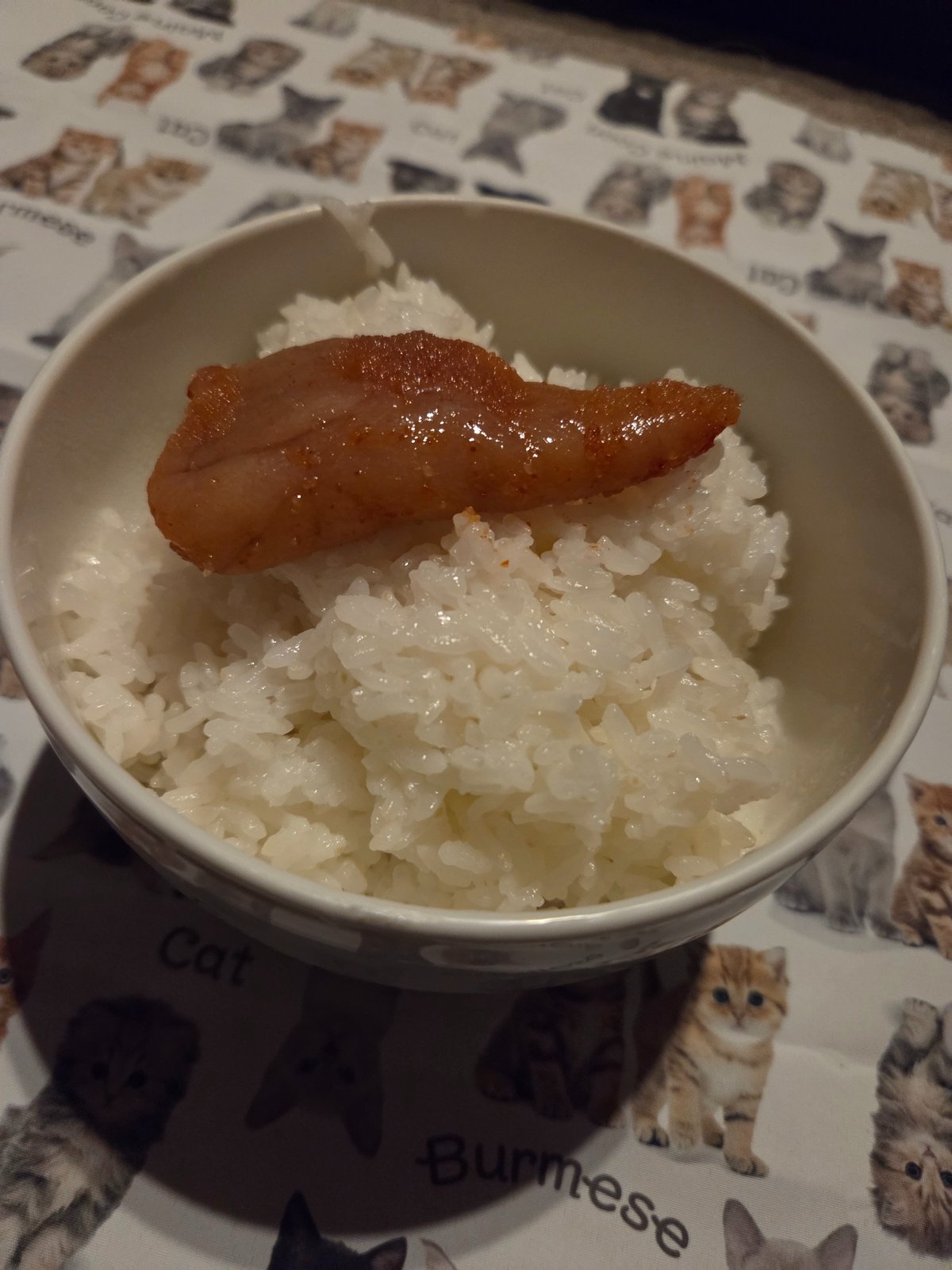 本日の晩御飯[7/4]｜kei1diablo