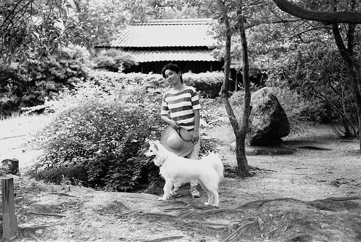 「With The Dogs」 夏の陽｜Rabi Sato