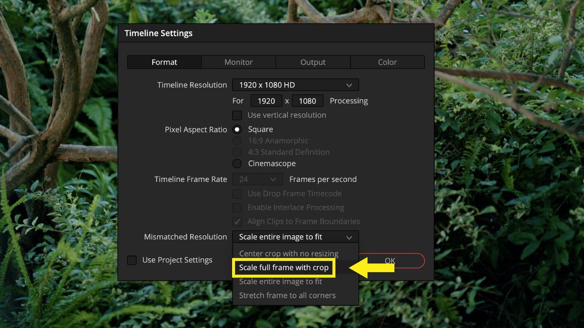 N-RAW 左右の見切れ問題を解消する｜Kaz Ohata