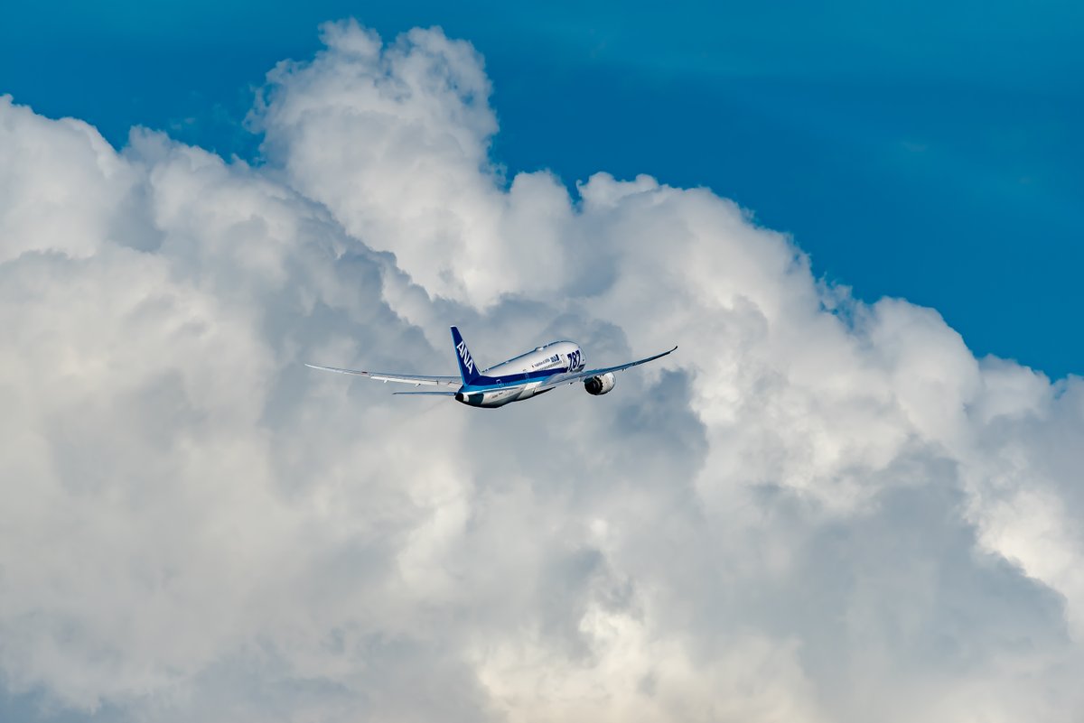 【52weeks連続投稿企画】私の推し飛行機はB787 ー13/52｜nasujin