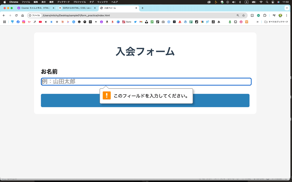 50代からのHTML / CSS / JavaScriptチャレンジ No.259 必須項目の設定｜mitchy