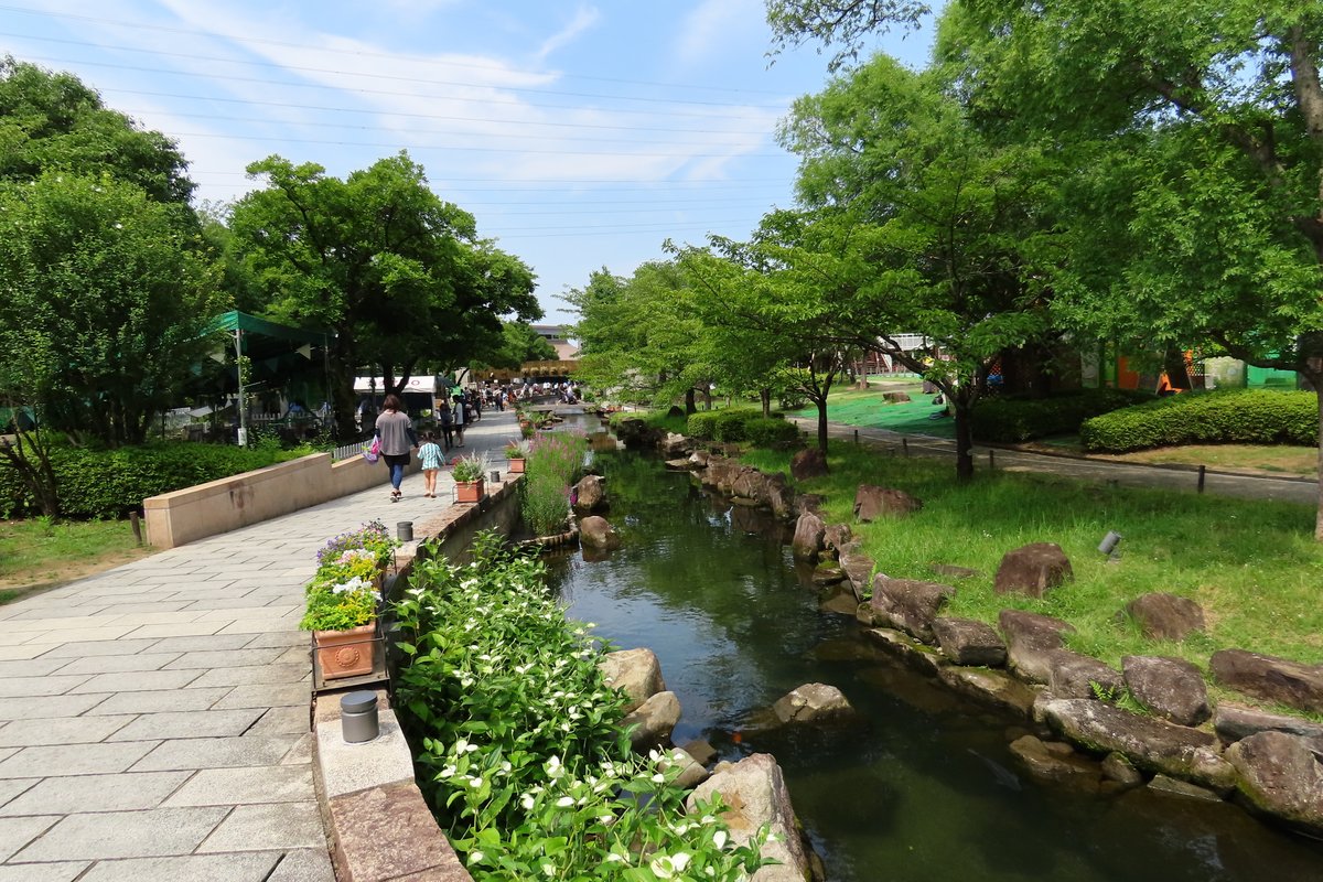 オアシスパークの水遊び2025｜HRSD-note