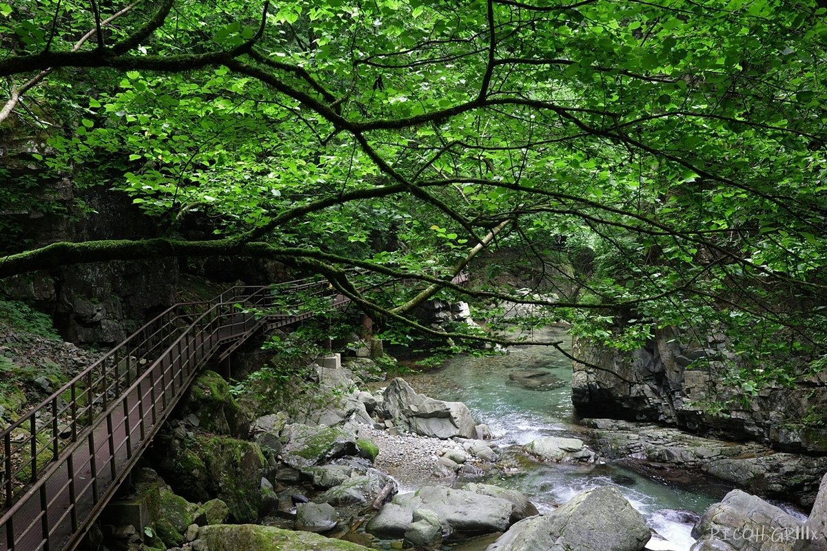小坂の滝巡り vol.1｜michi-to-sora 道と空