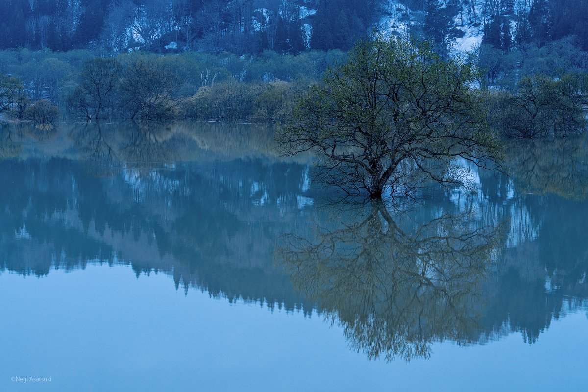 霧の日にしか撮れない風景がある──幻想を撮るための天気予測術｜Negi Asatsuki