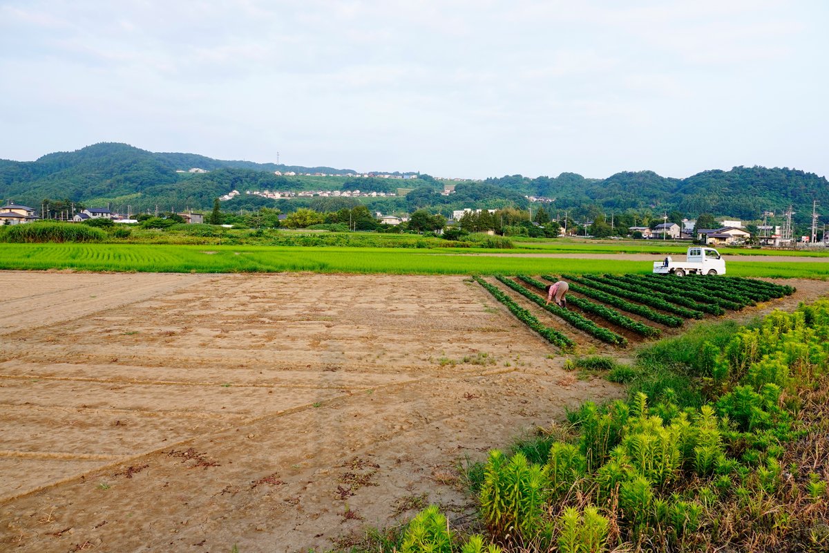 名取飛鳥郷探訪｜oichan