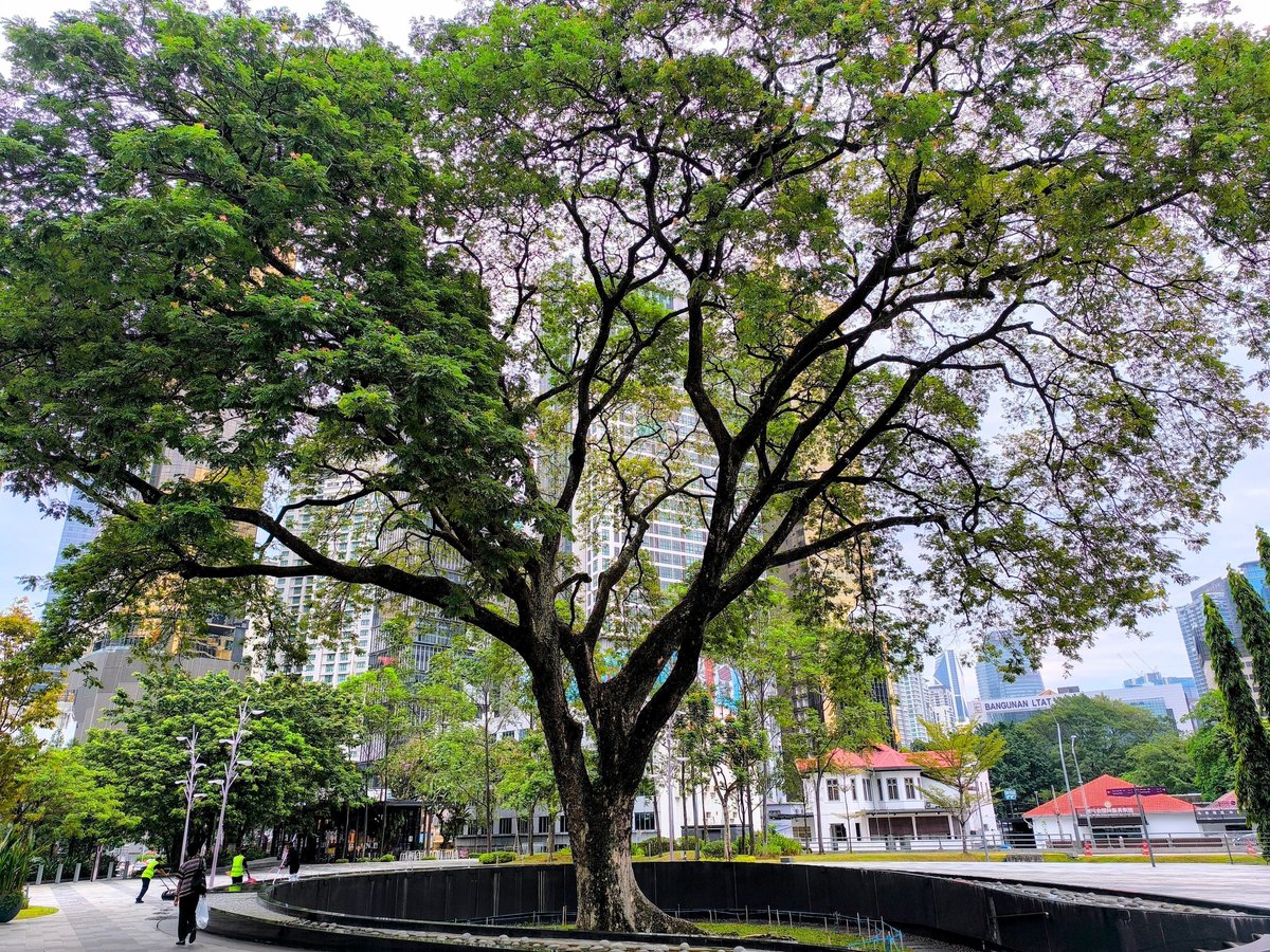 カフェ巡りinクアラルンプール①次のステージの始まりに～Plan B TRX｜西牧八千代@マレーシア