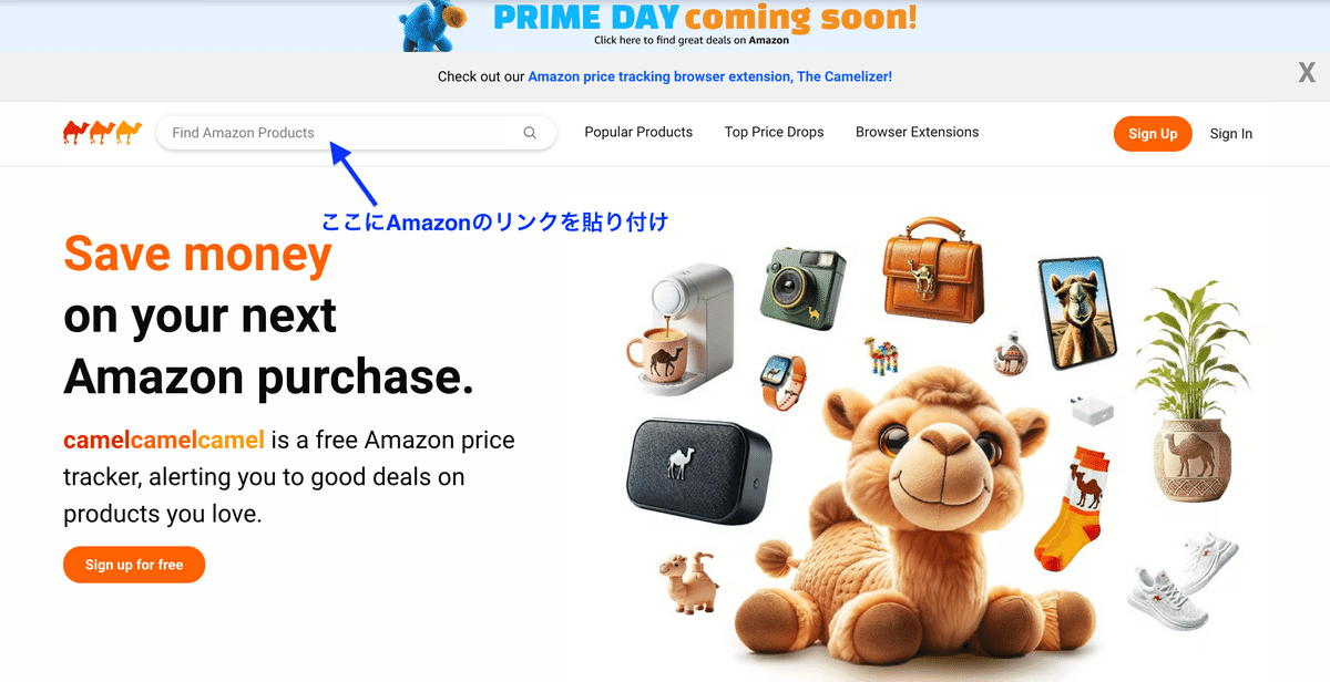 【裏技も有り】アメリカで5年暮らしてAmazonで買ってよかった物まとめ🇺🇸｜Naok! Matsui 🇺🇸/ 松井 直輝