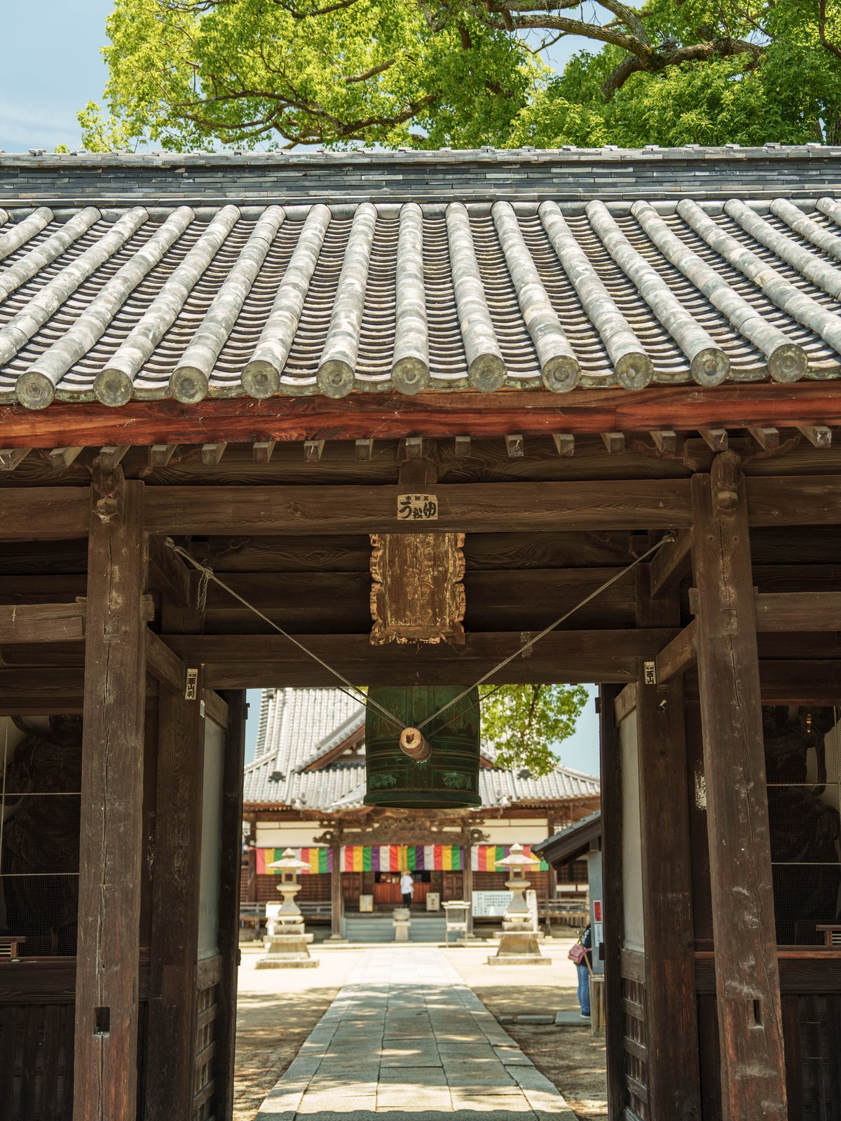 ことでんスナップ｜FP Yoshimitsu