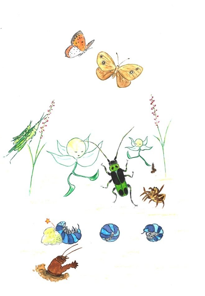 ラミーカミキリ｜izayoi books - 物語の散歩道 すみがき たけし